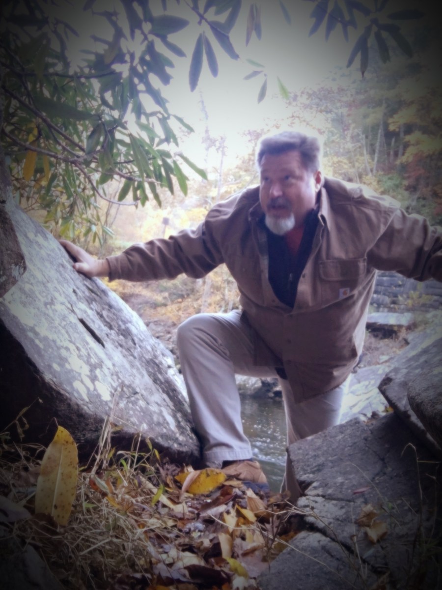 It Is What It Is! | Michael Joe Harvell